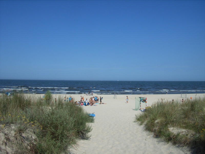 Surfcamp Skaven Strand | Jugendreisen nach Skaven in Dänemark